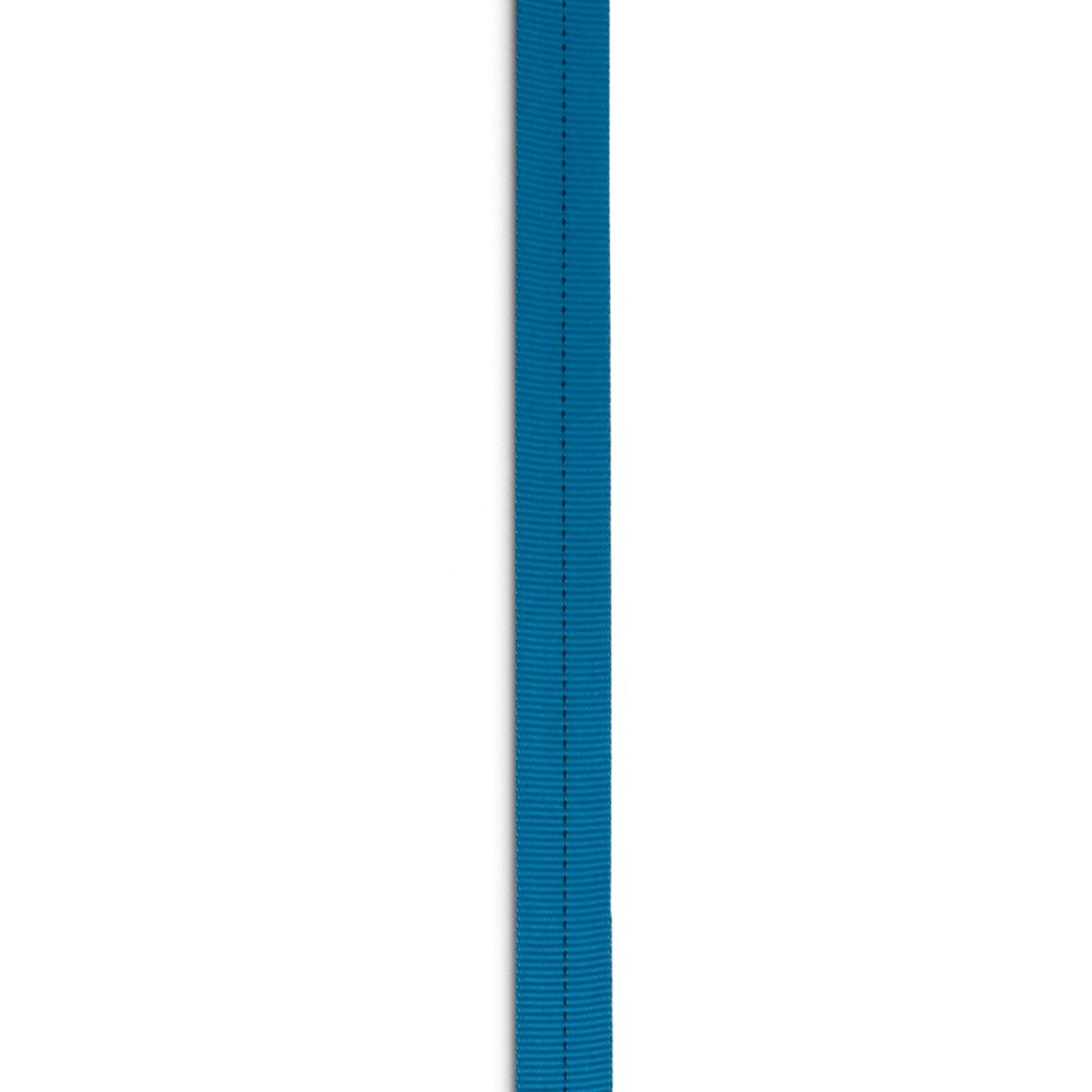 CMC Rescue One-Inch Tubular Webbing 100ft Length - Blue